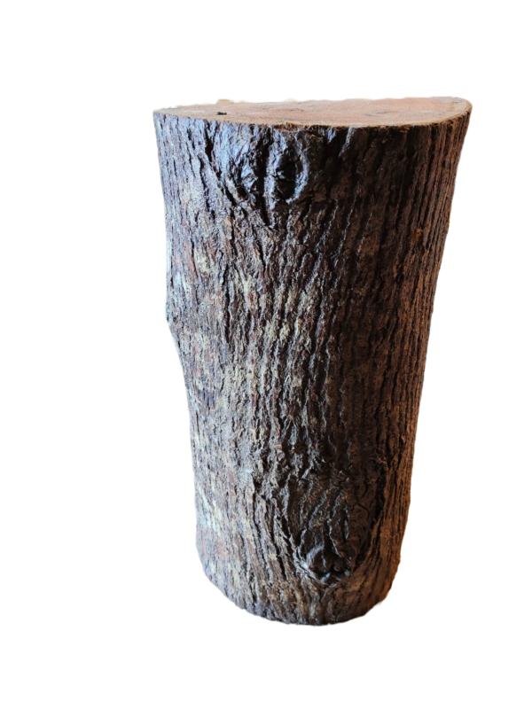 Boomstam beeld Boeddha 50cm