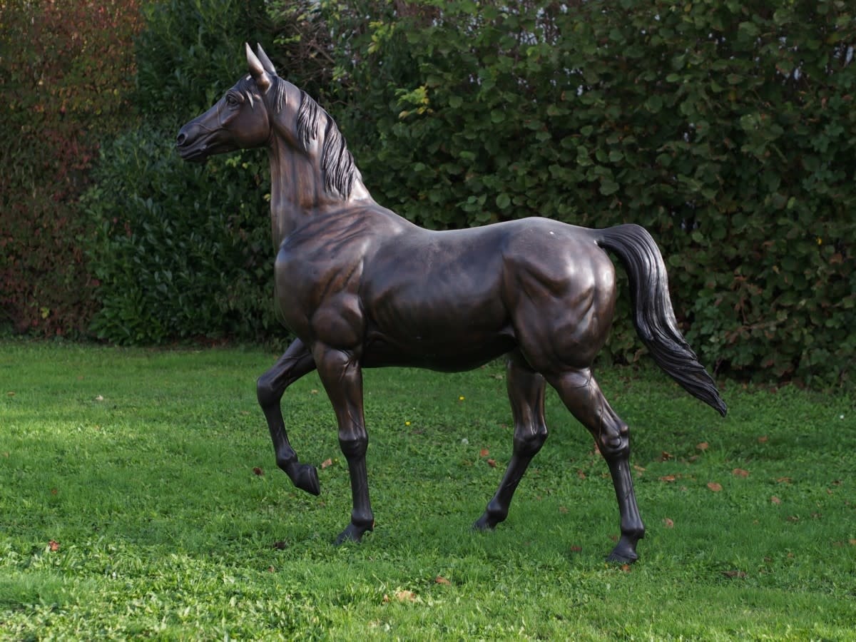 Bronzen beeld Steigerend paard modern - eliassen.nl