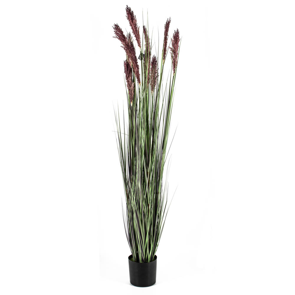Artificial plant Pampas grass red 180cm