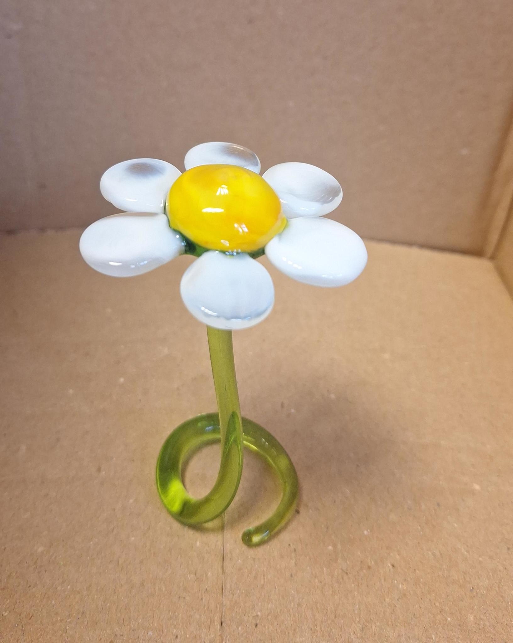 Daisy flower glass mini 12cm white - Eliassen.nl