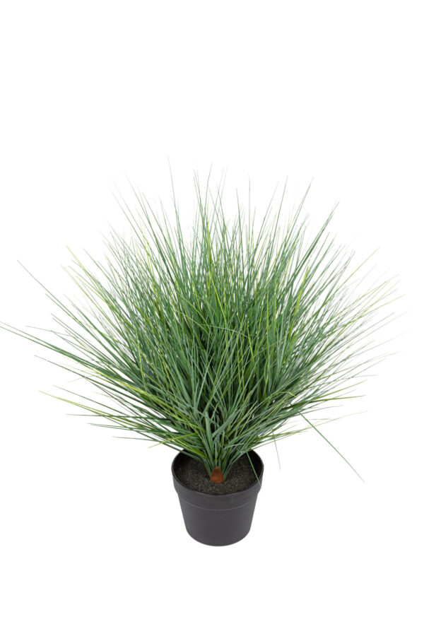 Artificial plant grass fan 60cm green - Eliassen.nl