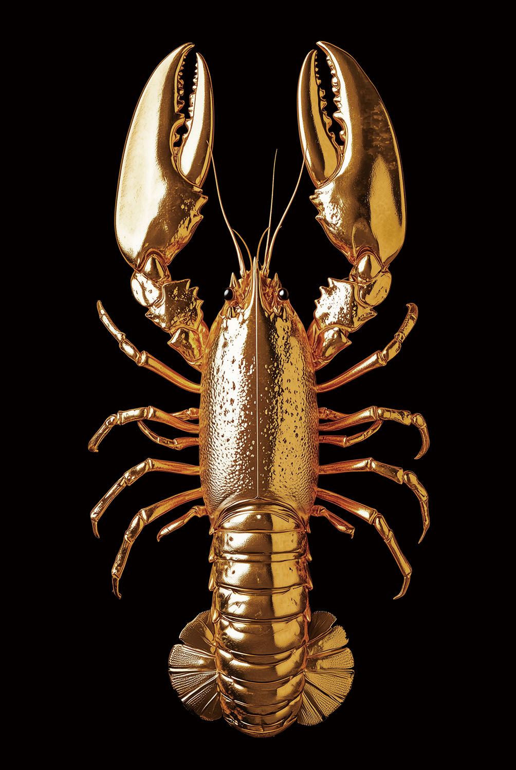 Glasschilderij Gouden kreeft 80x120cm - Eliassen.nl